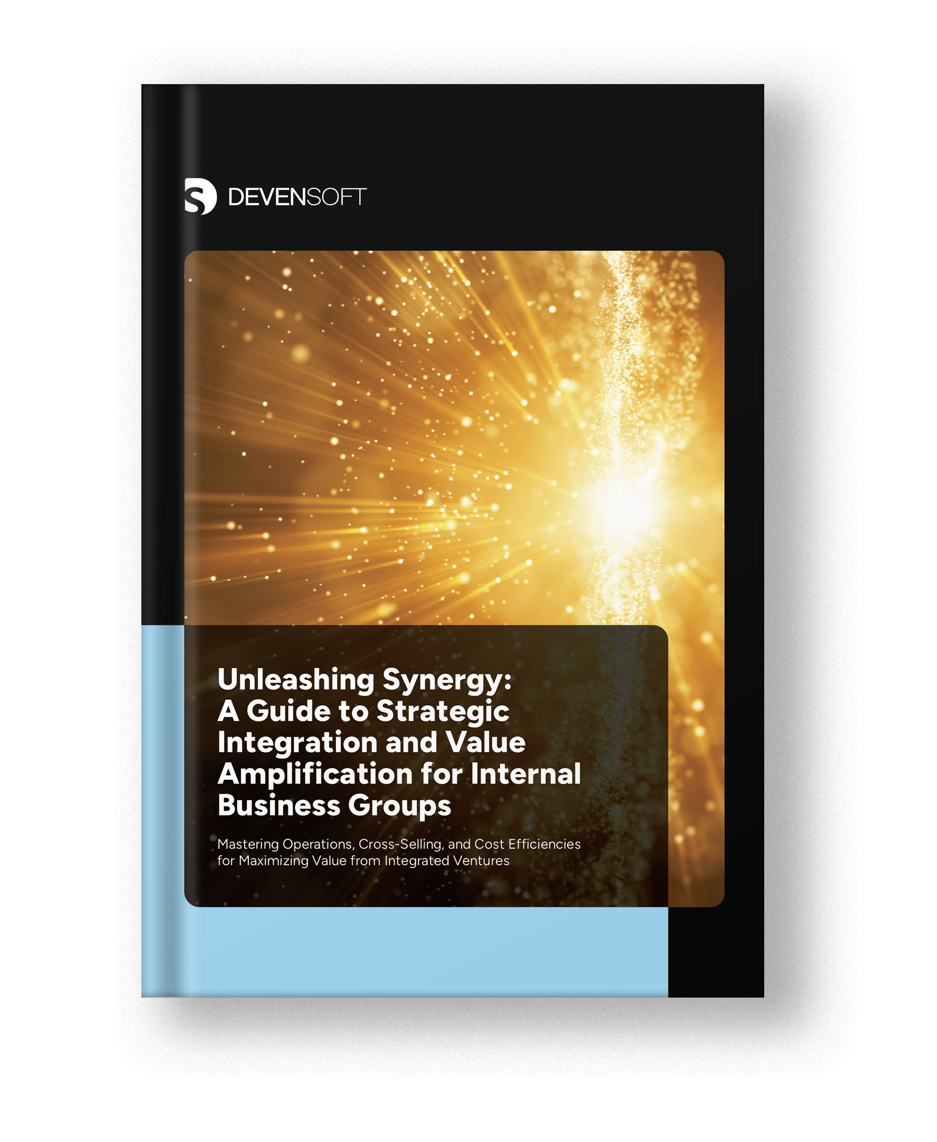 An M&A Guide to Strategic Integration and Value Amplification for ...